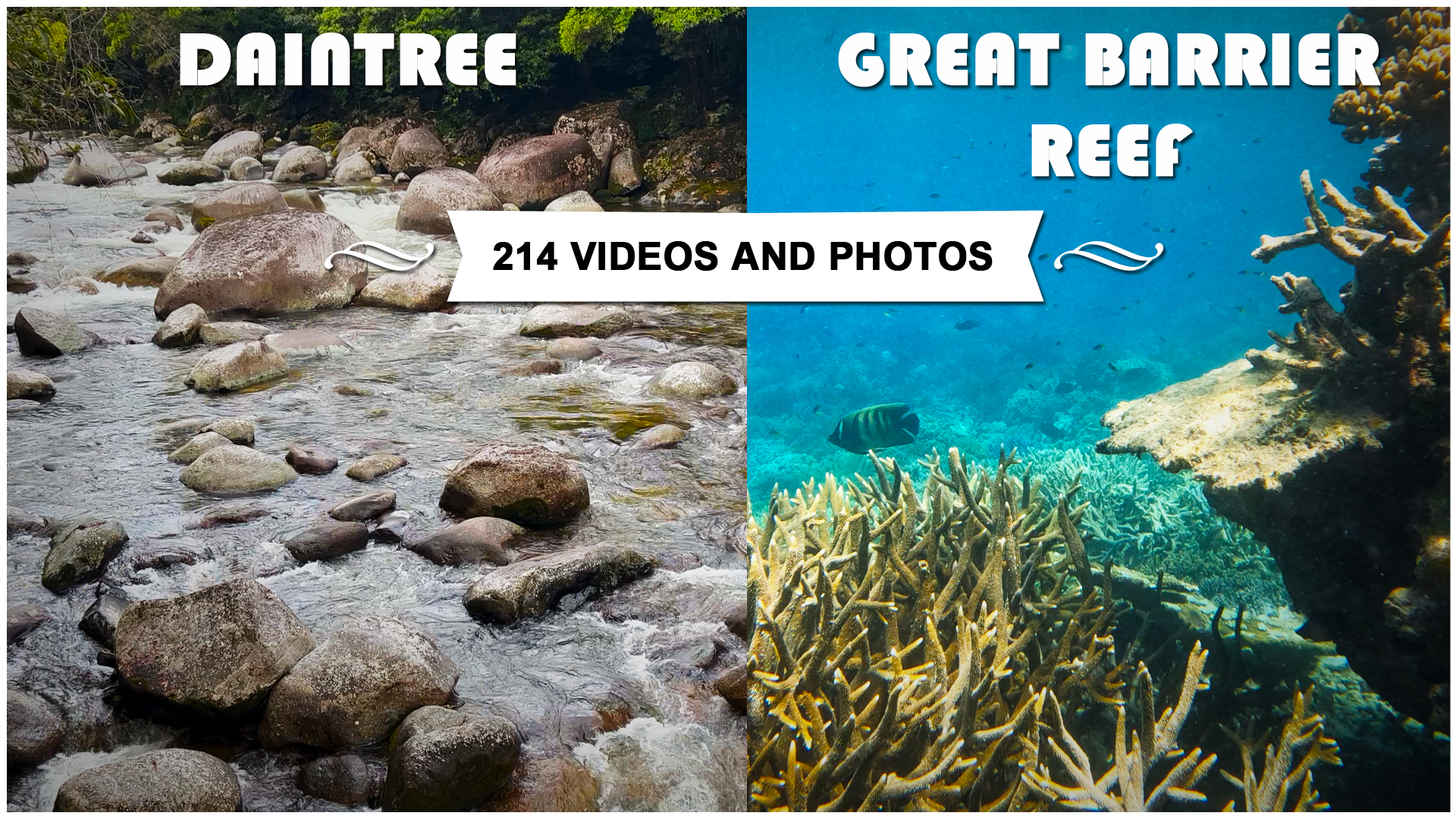 Reference Video - Daintree Rainforest/Great Barrier Reef ...